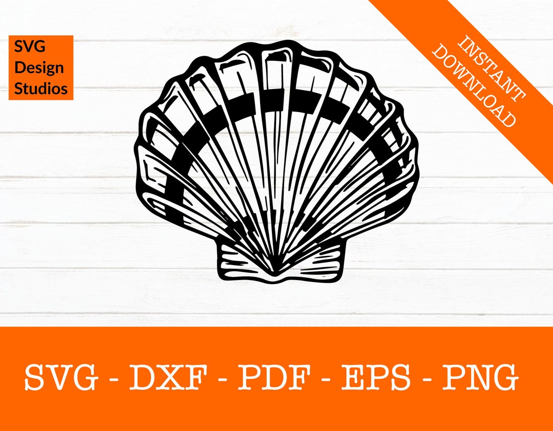 Shell Svg, Seashell Svg, Beach Svg, Silhouette Shadow SVG Cut File ...