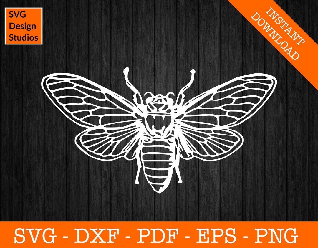 Cicada Svg, Brood X Svg, Locust Svg, Cicada Design Svg, Silhouette SVG ...