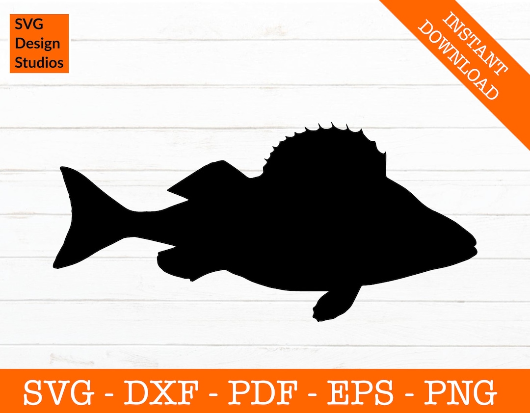 Perch Svg, Fishing SVG, Perch Svg, Fish Svg, File - PNG - DXF - Cricut ...