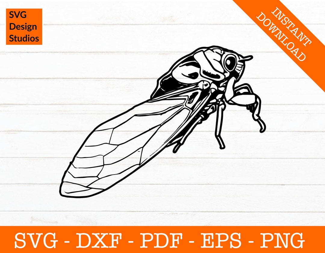 Cicada Svg, Brood X Svg, Locust Svg, Cicada Design Svg, Silhouette SVG ...