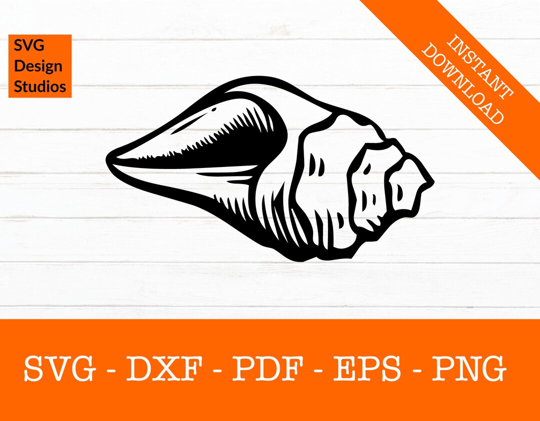Conch Shell Seashell Beach Svg Silhouette Shadow SVG Cut File - PNG ...