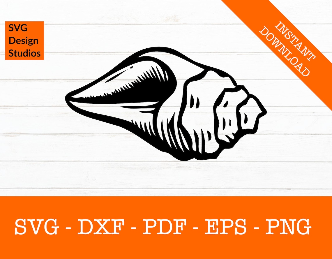 Conch Shell Seashell Beach Svg Silhouette Shadow SVG Cut File - PNG ...