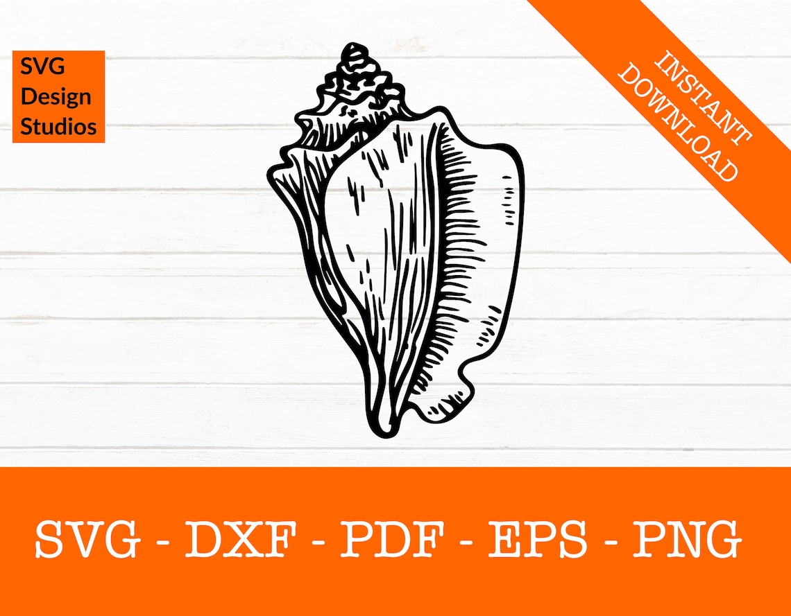Conch Shell Svg, Seashell Svg, Beach Svg, Silhouette Shadow SVG Cut ...
