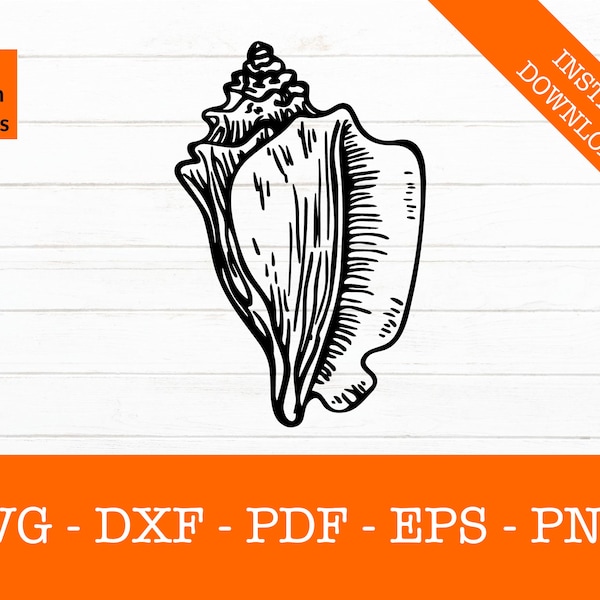 Conch Seashell - Etsy