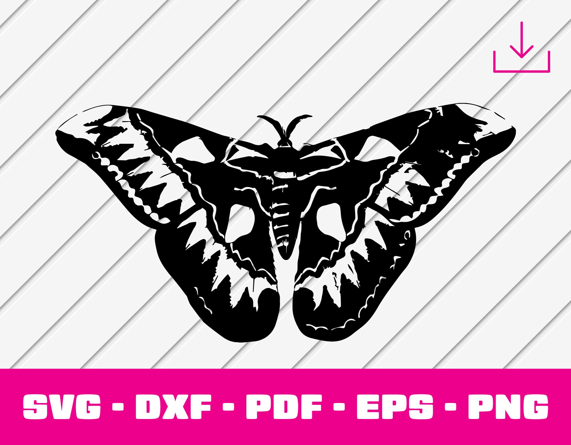 Moth Svg Moth Vector Moth Design Svg Silhouette SVG Cut | Etsy