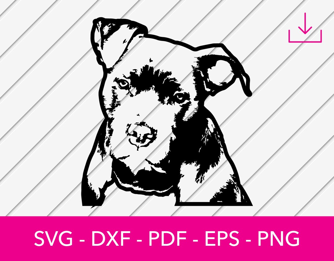 Boxer Svg, Boxer Dog Svg, Pit Bull Svg, Dog Love Svg, Dog Svg - SVG Cut ...