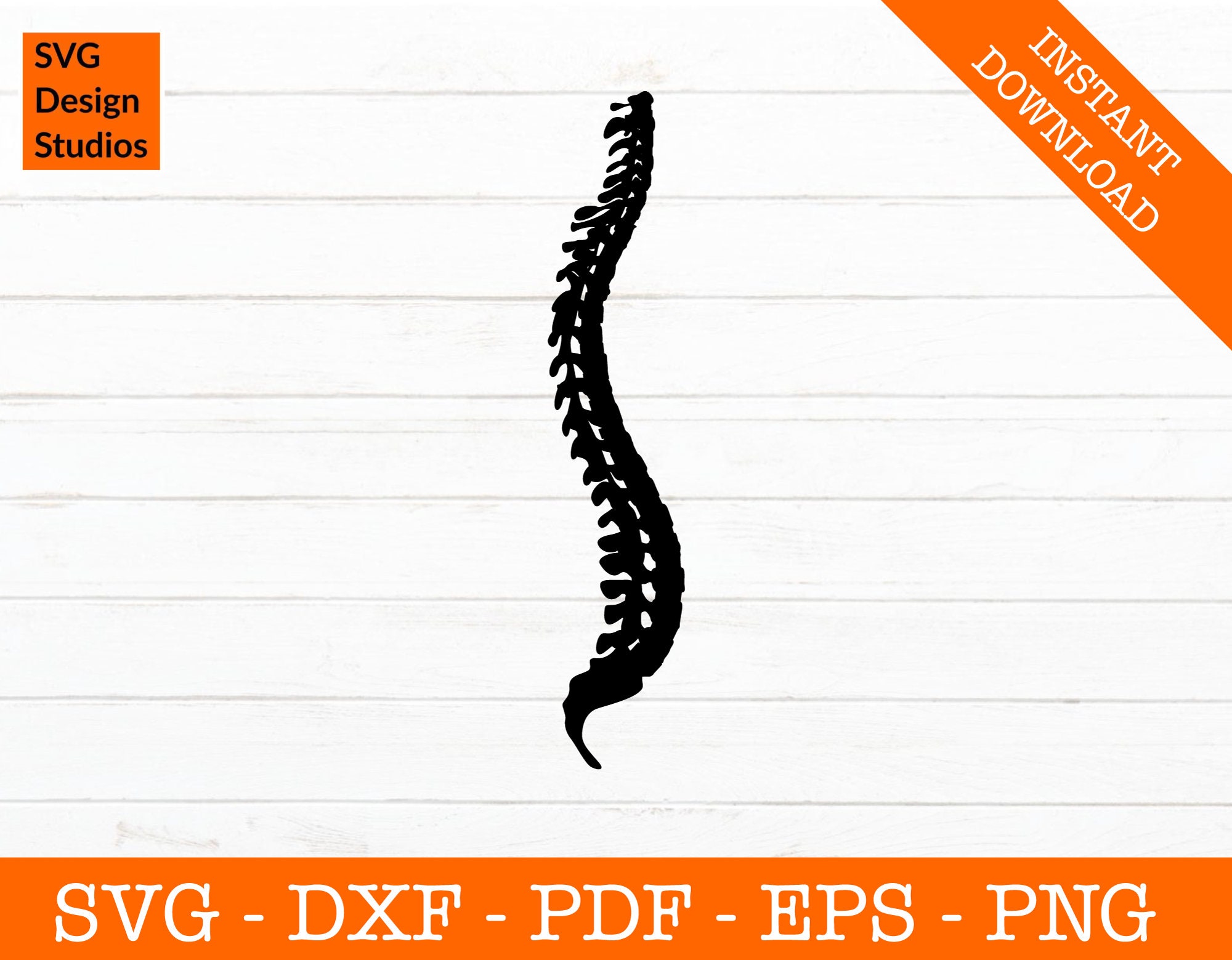 Spine Svg Chiropractor Svg Back Svg Bones Svg Spinal | Etsy