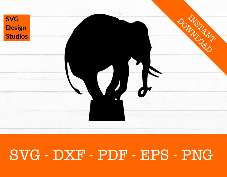Circus Elephant Svg Carnival Elephant Vector Silhouette | Etsy