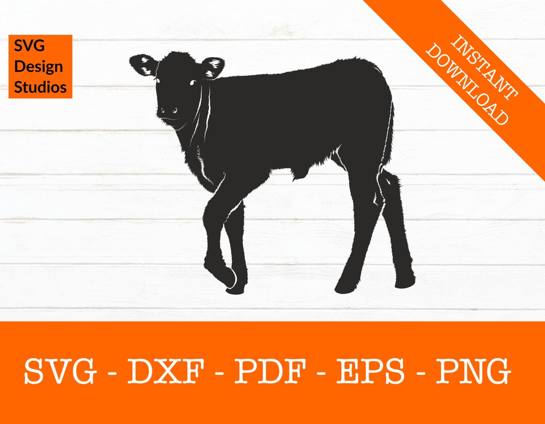 Calf Svg, Baby Cow Svg, Farm Svg, Shadow SVG Cut File - PNG - DXF ...