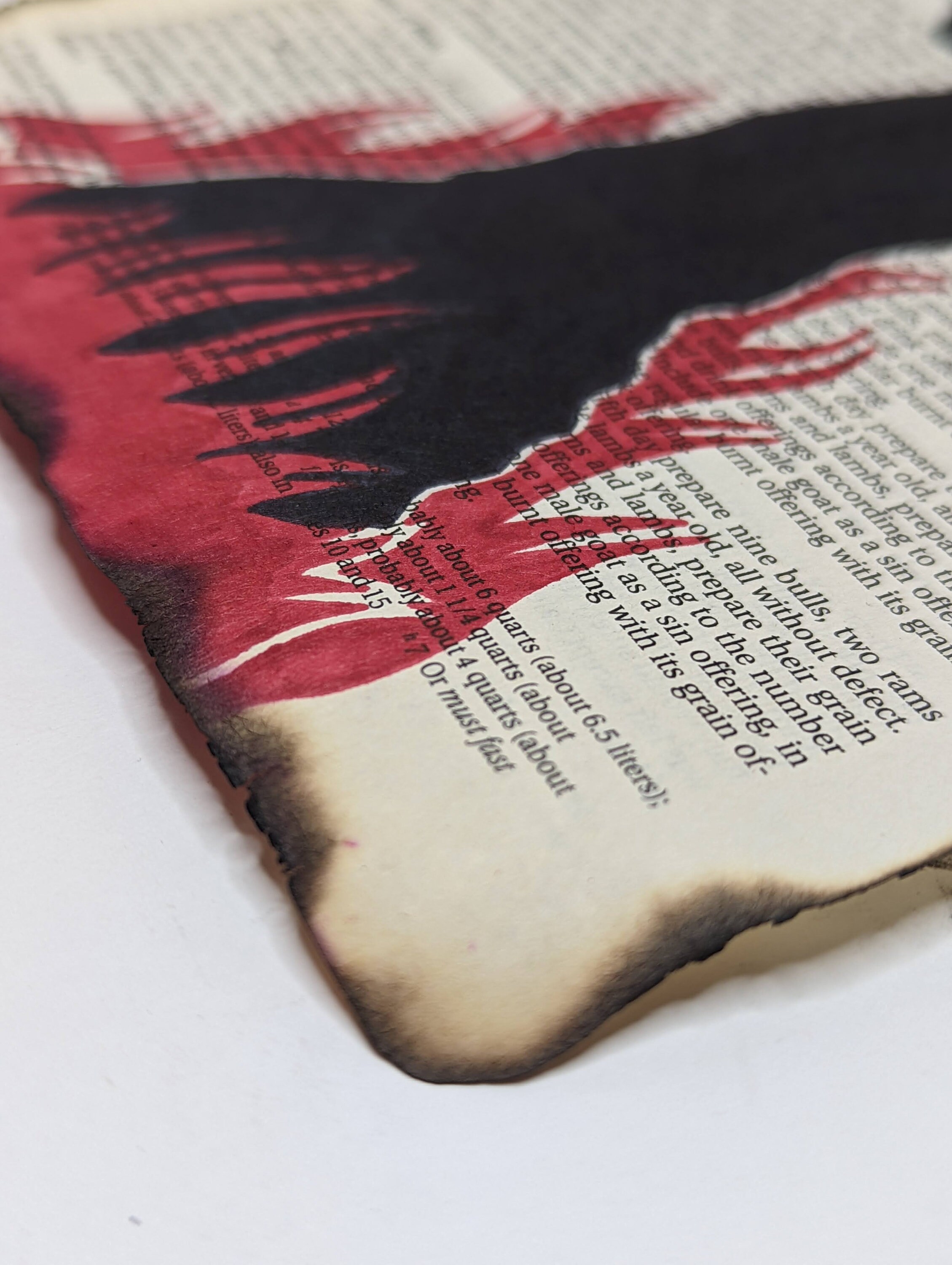 Vintage Bible Gothic Art Pages Custom Pieces - Etsy