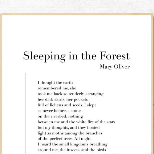 The Journey by Mary Oliver the Journey Poem Wall Art Mary - Etsy