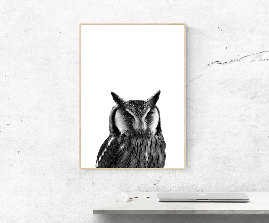 Sleepy Owl - Bird Printable Poster, Instant Download, Nature Home Decor ...