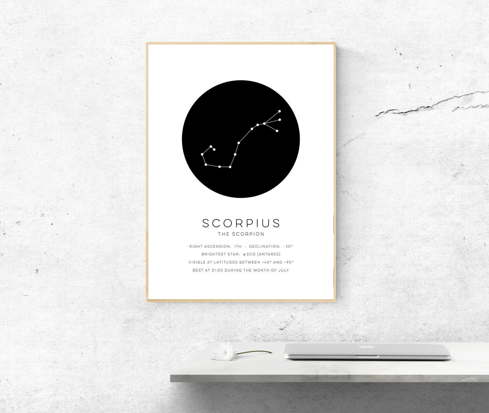 Scorpio Constellation Printable Poster Instant Download - Etsy