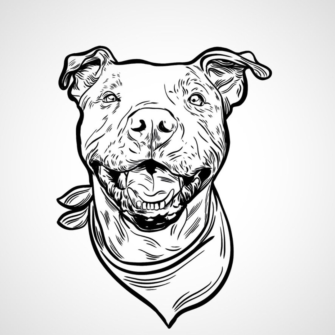 Custom Cartoon Vector Drawing Cat & Dog Portrait From Photo - Digital ...