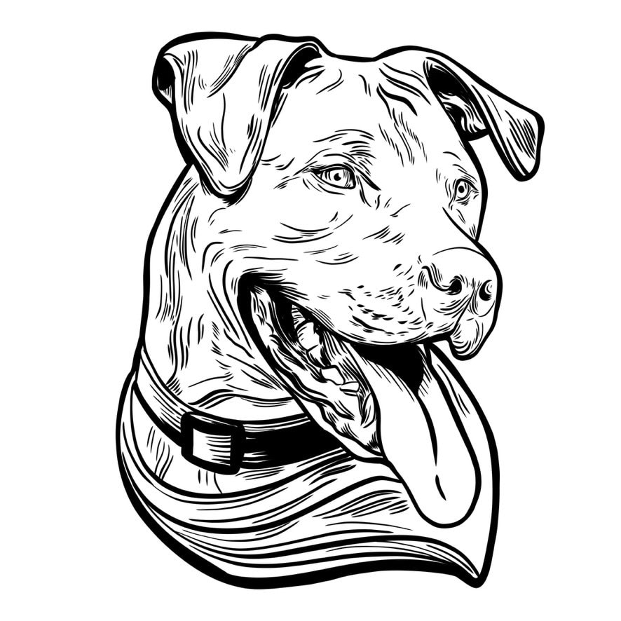 Custom Cartoon Vector Drawing Cat & Dog Portrait From Photo - Digital ...