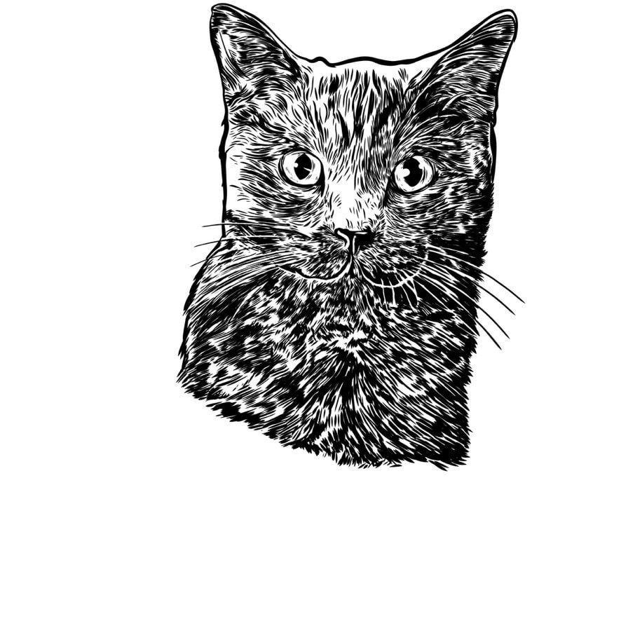 Custom Cartoon Vector Drawing Cat & Dog Portrait From Photo - Digital ...