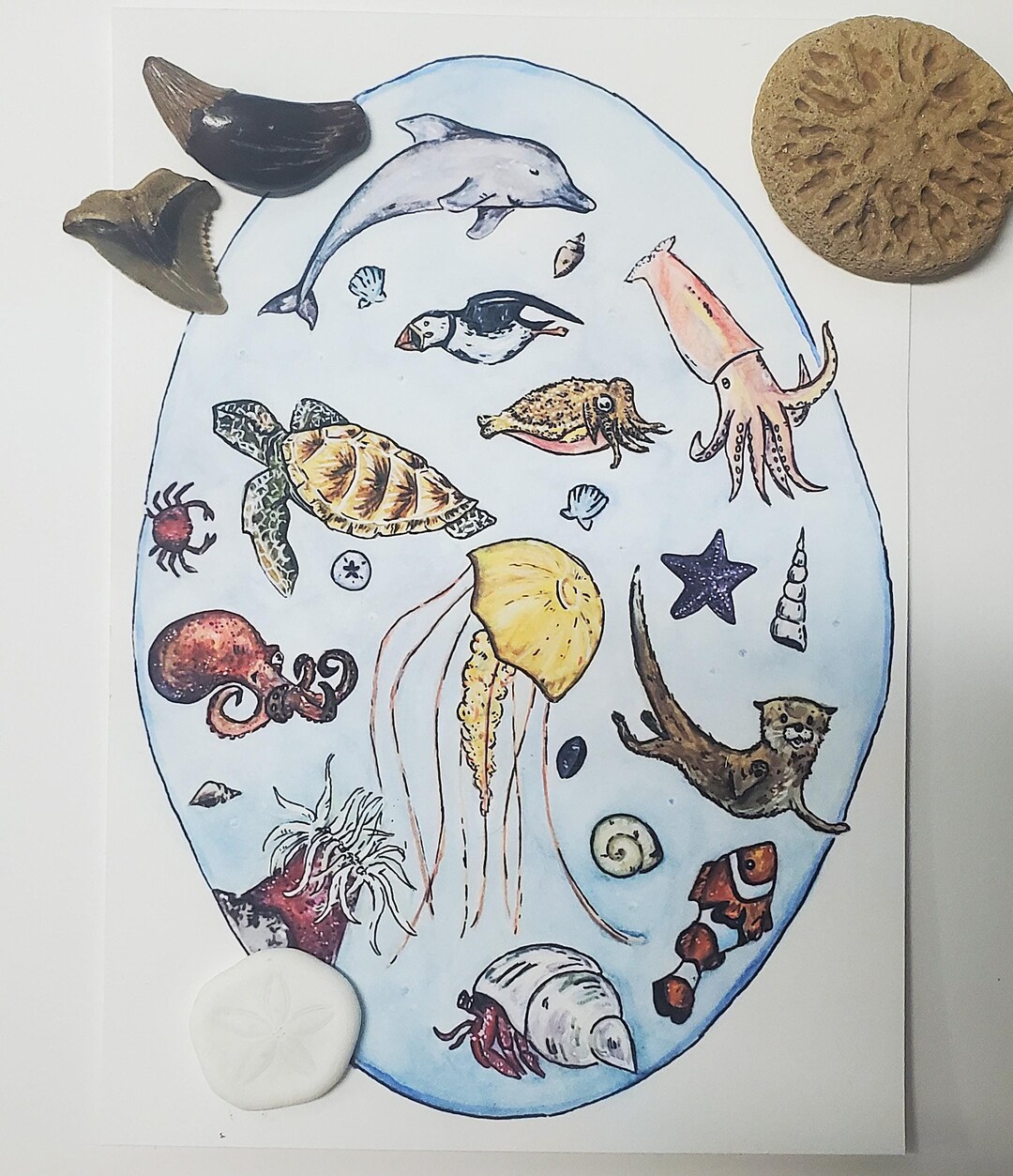 Ocean Animals Fine Art Print - Etsy