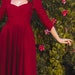Royalcore Princesscore Dress Burgundy Cottagecore Dress Red - Etsy