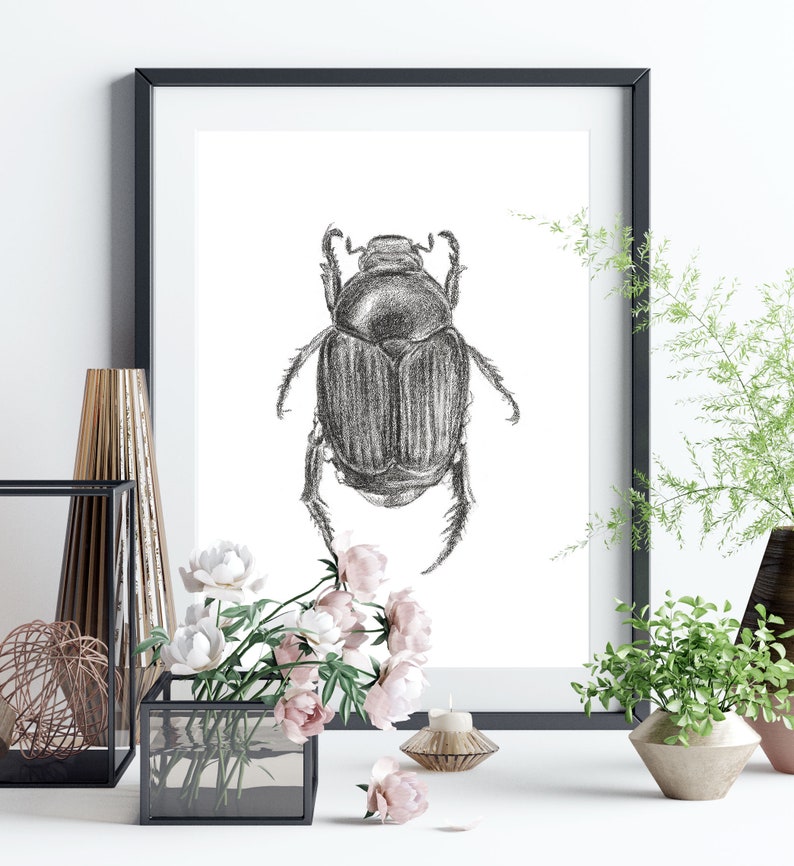 Set of 3 Insect Drawings | Printable Art | Digital Download | Black and ...