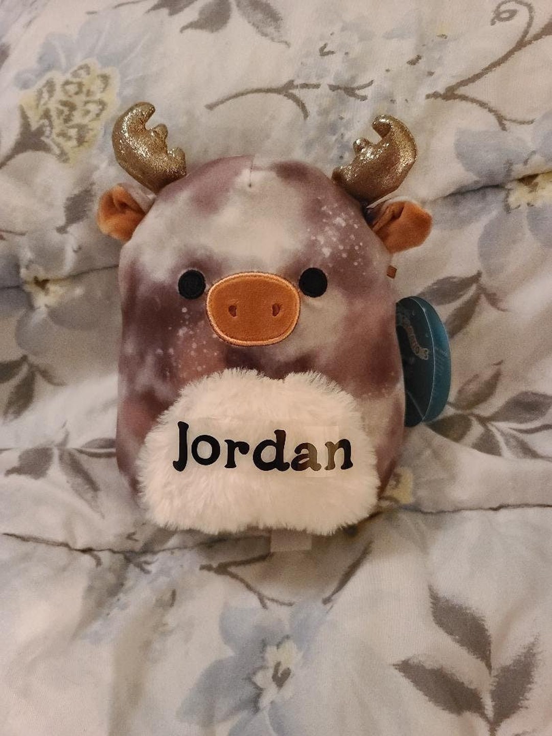 Personalized Squishmallow Moose Greggor - Etsy