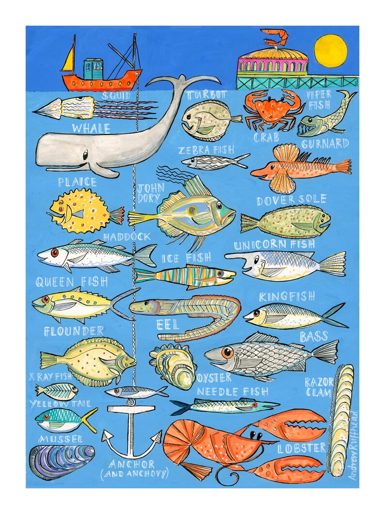 Alphabet of Fish - Etsy