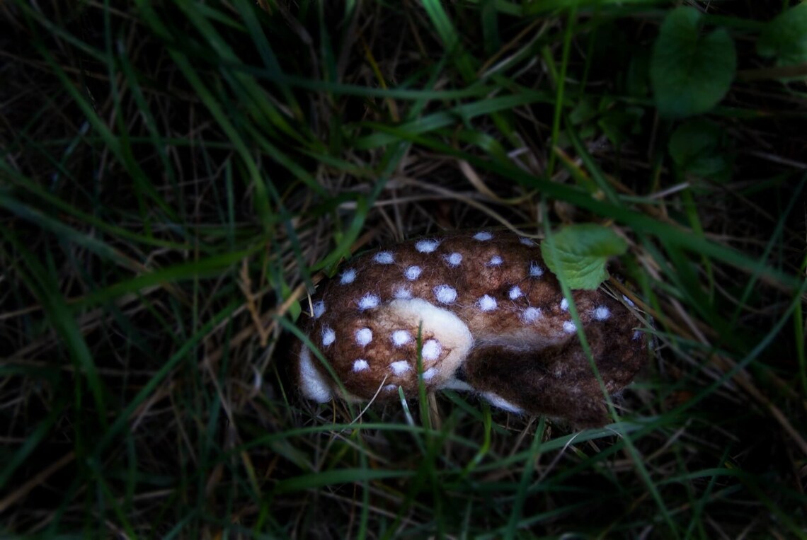 Sleeping Fawn Sculpture, OOAK Doe, Sleeping Animals, Reborn Baby Fawn ...