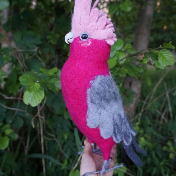 Needle Felted Parrot - Etsy