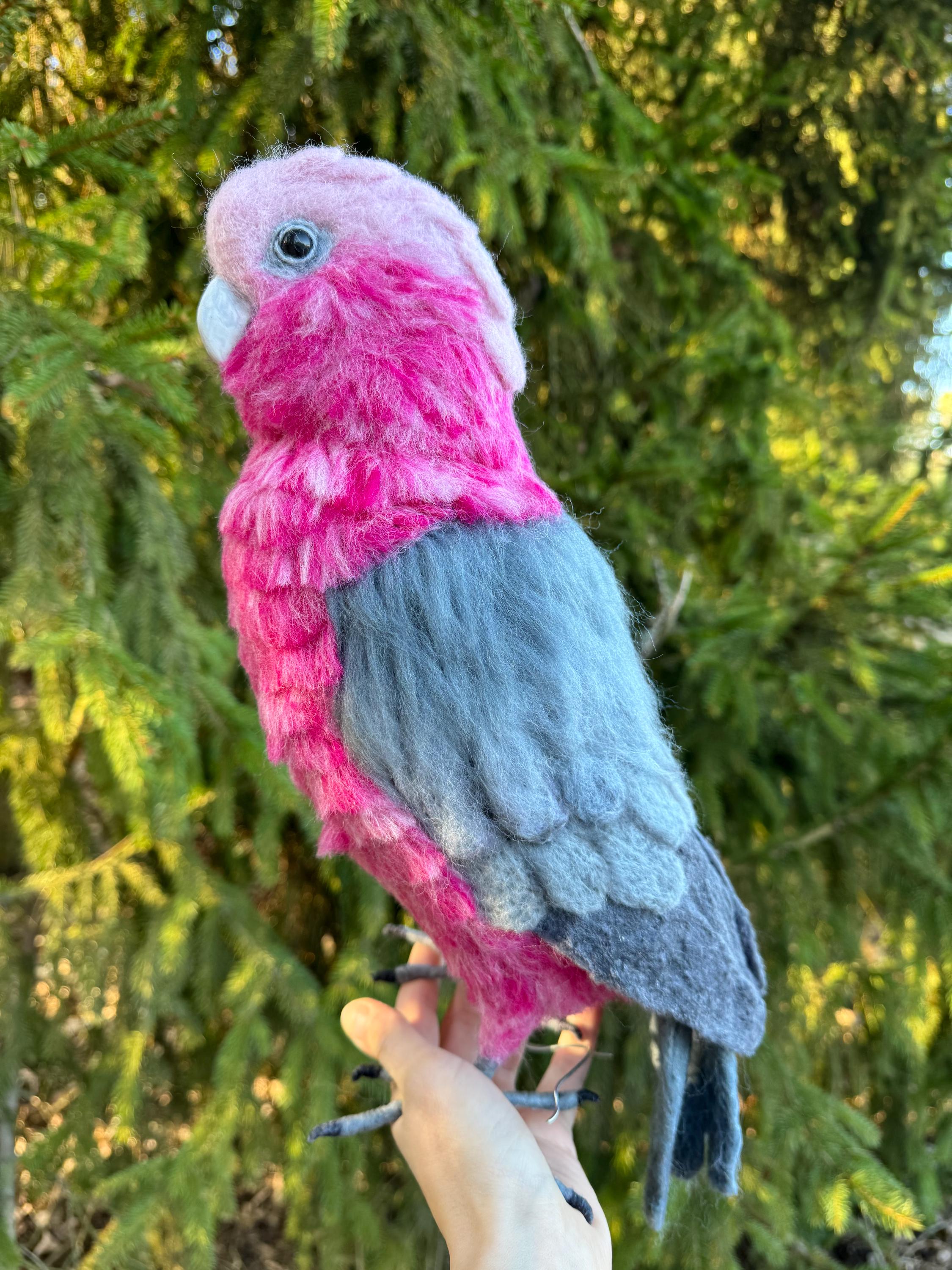 Needle Felted Galah Cockatoo, OOAK Realistic Parrot,pink Cockatoo ...