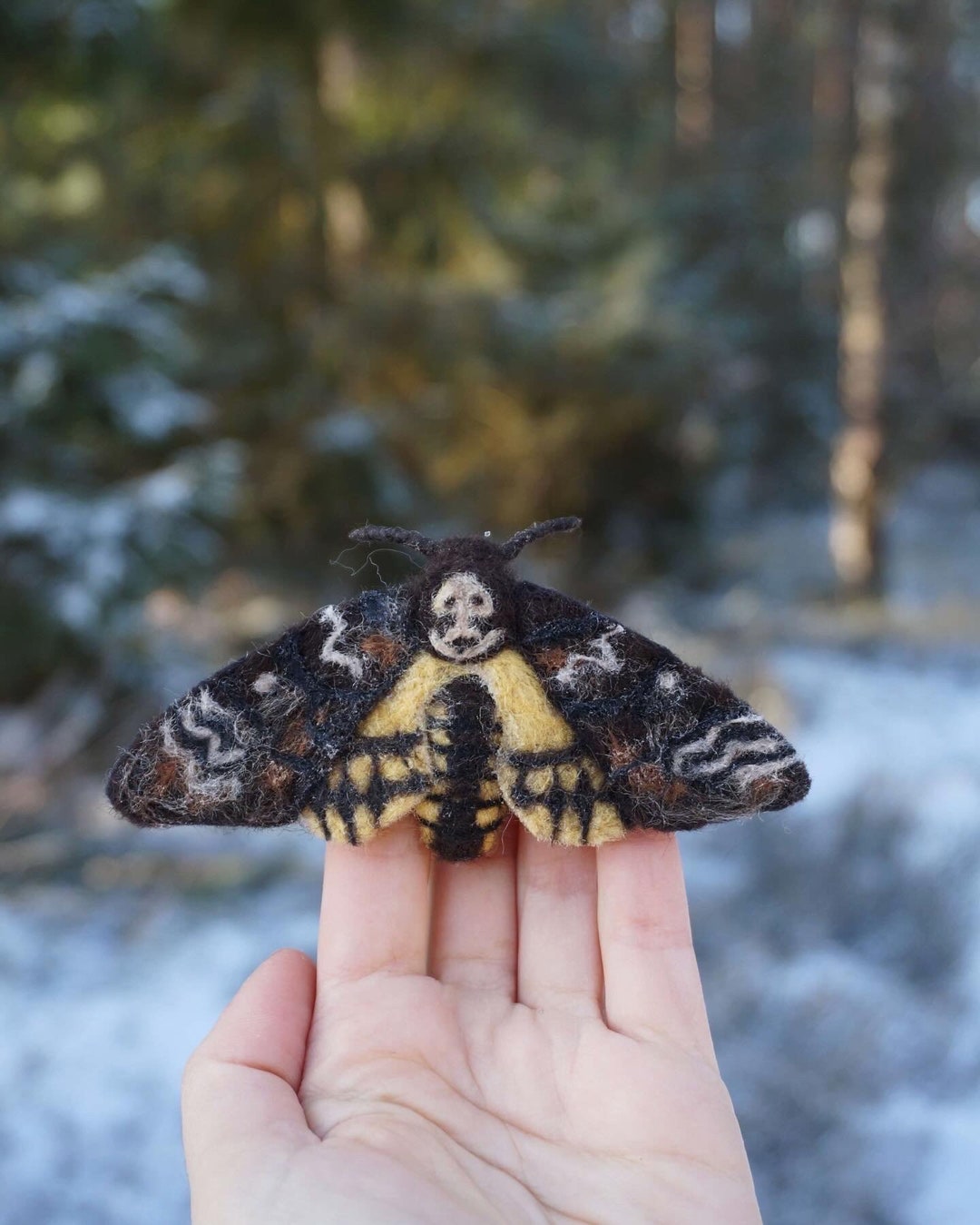 Deaths Head Moth Brooch, Insect Jewellery, Insect Pin, Moth Accessories ...