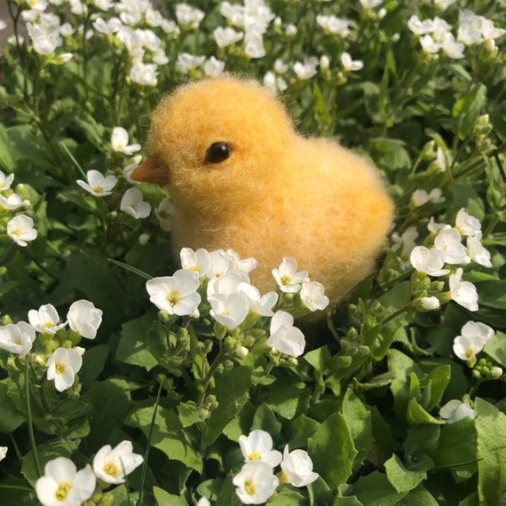 Needle felted chick/ Fibre craft Chick/ OOAK Chick/fuzzy | Etsy