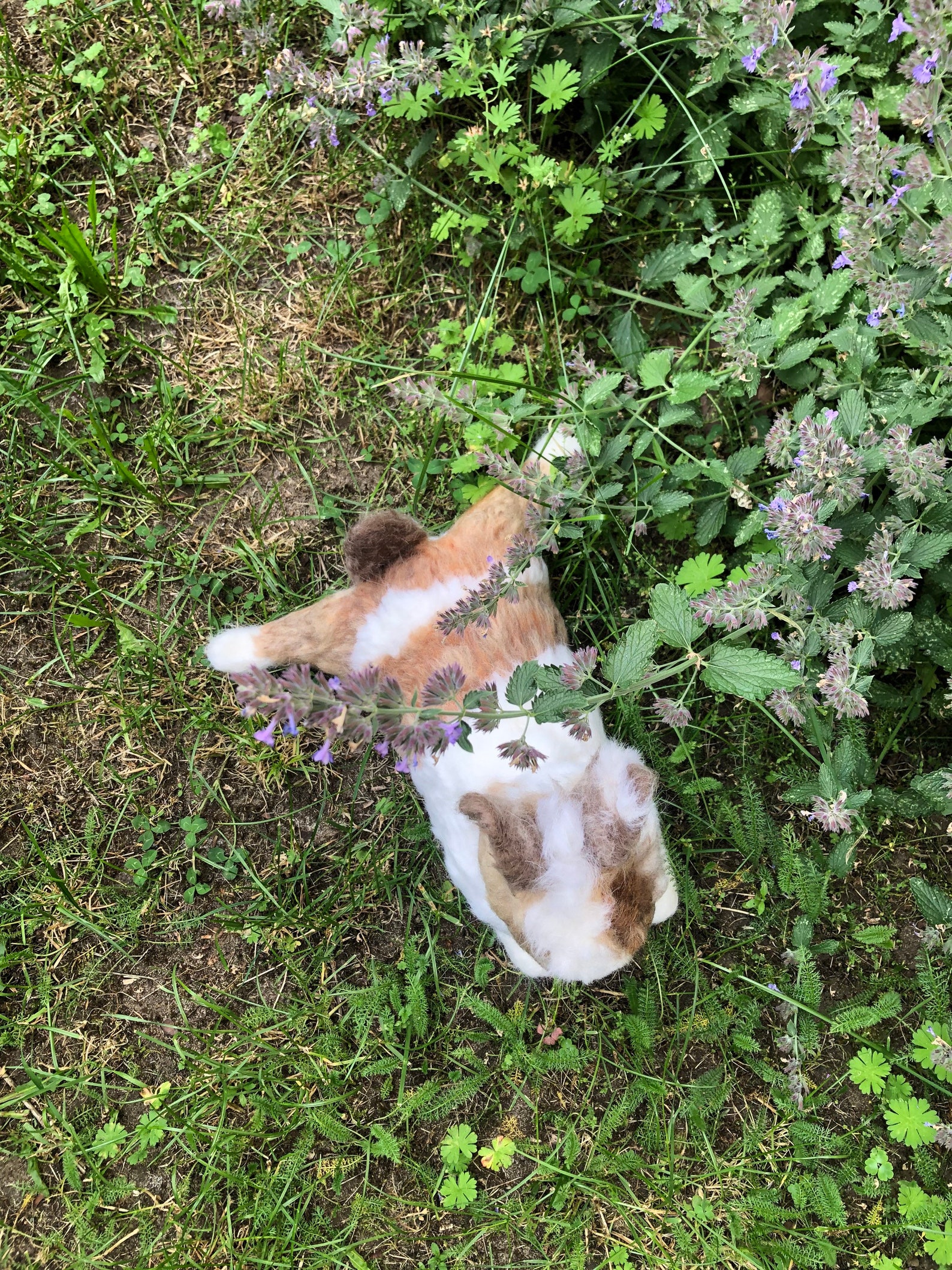 Bunny Sculpture, Lifesize Rabbit Figurine, Custom Rabbit Portrait, Gift ...