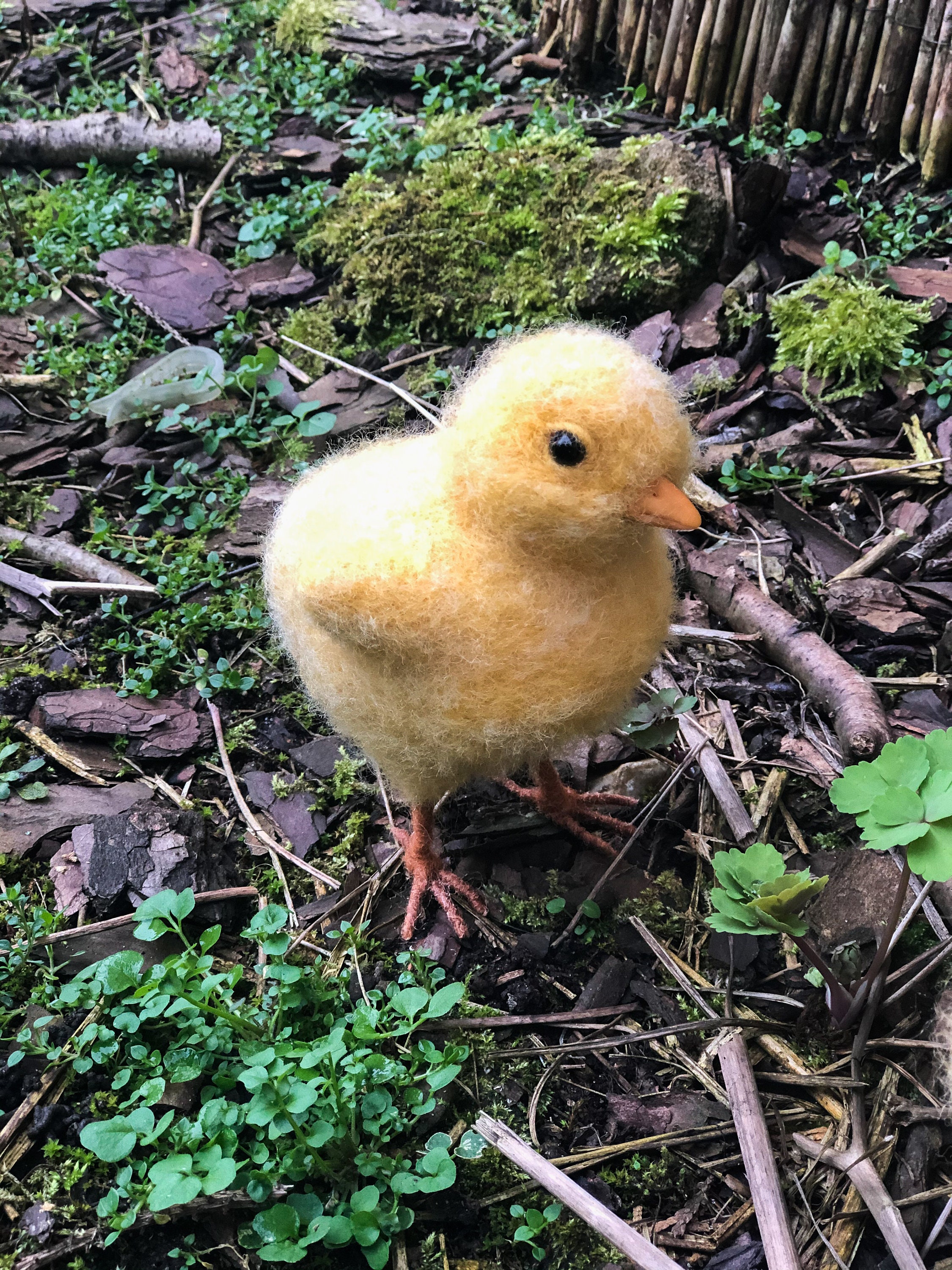 Needle Felted Chick/ Fibre Craft Chick/ OOAK Chick/fuzzy Chick/easter ...