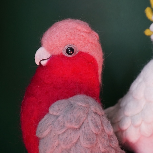 Felt Parrot - Etsy