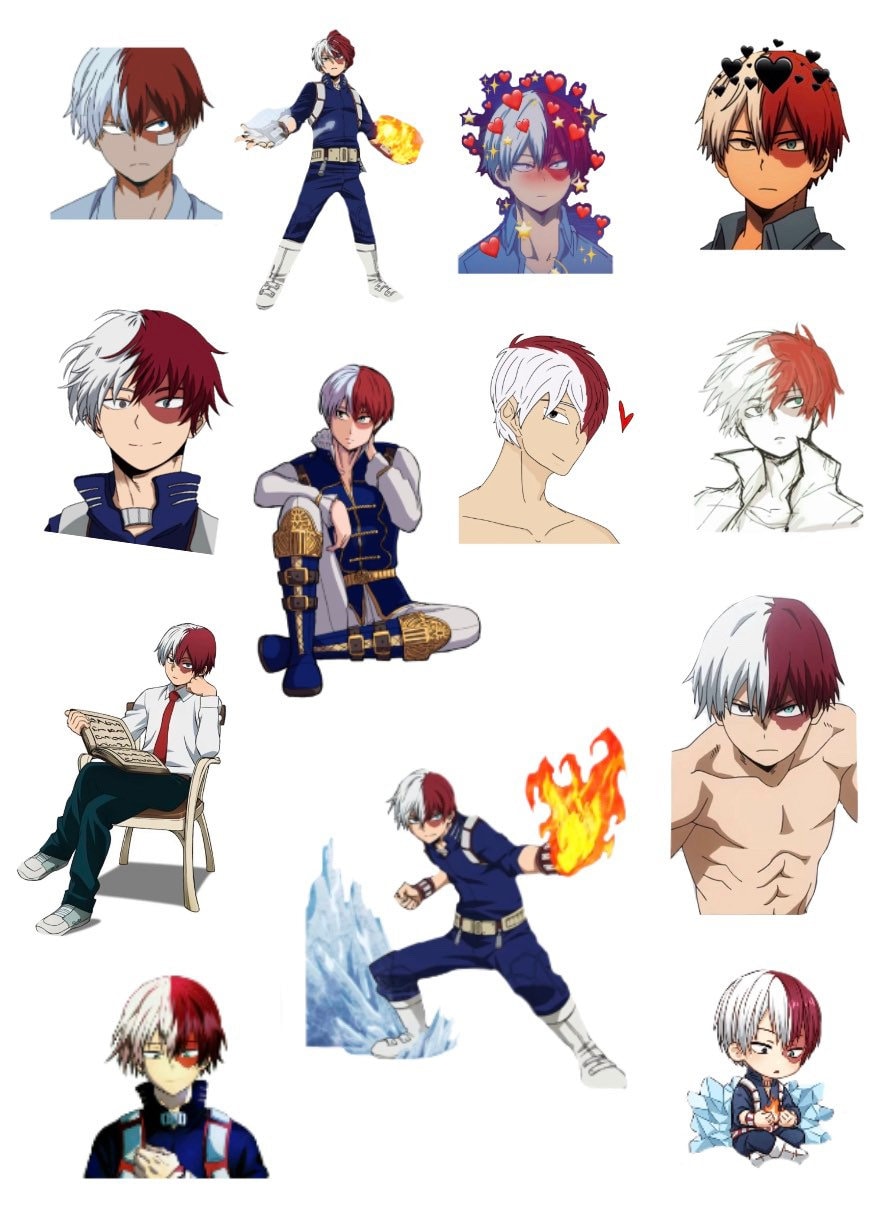 Todoroki Stickers - Etsy