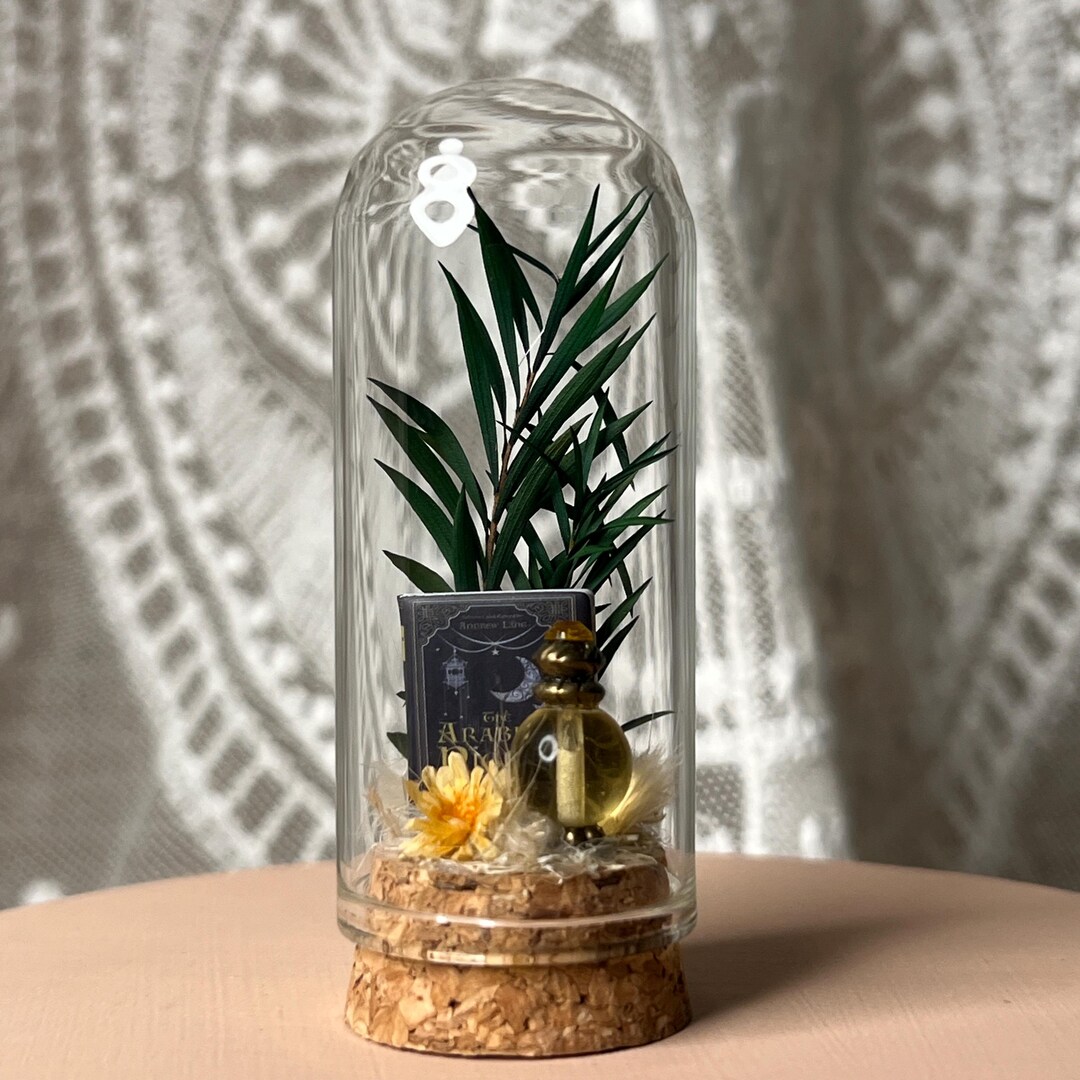 Tiny Bell Jar Terrarium With Book, Apothecary Bottle, and Dried Flowers ...