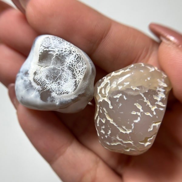 Snakeskin Agate - Etsy