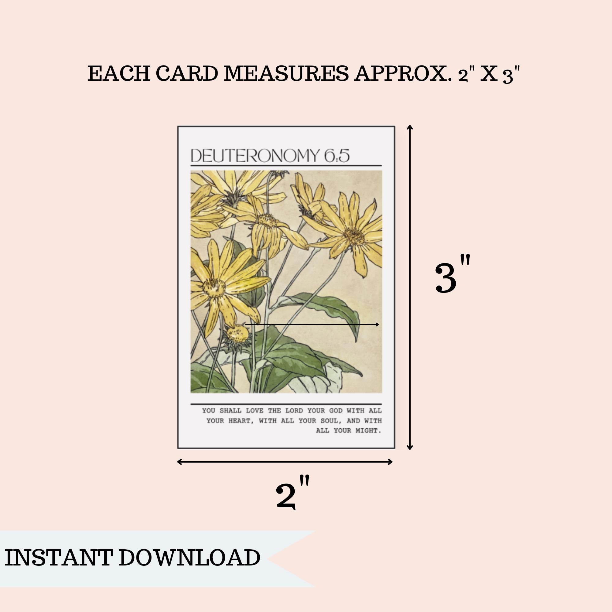 40 Memory Bible Verse Cards | Foundational Prayer Card | Christian ...