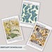 40 Memory Bible Verse Cards | Foundational Prayer Card | Christian ...