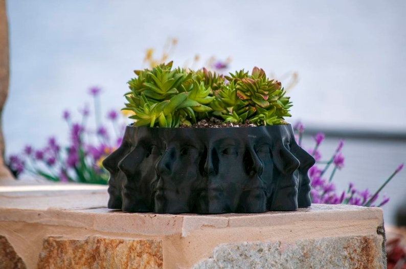 3D Printed Polyface Planter Home Decor Head Planter Face - Etsy