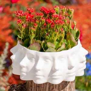 3D Printed Polyface Planter Home Decor Head Planter Face Plant Pot ...
