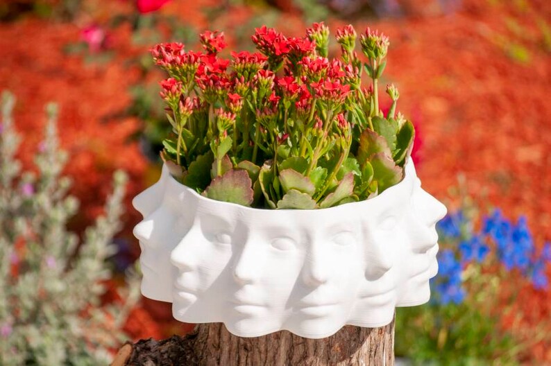 3D Printed Polyface Planter Home Decor Head Planter Face - Etsy