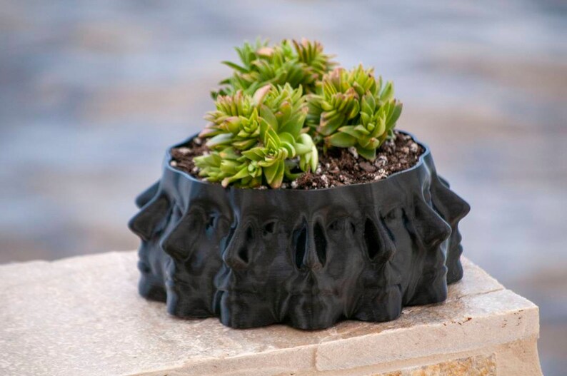 3D Printed Polyface Planter Home Decor Head Planter Face | Etsy