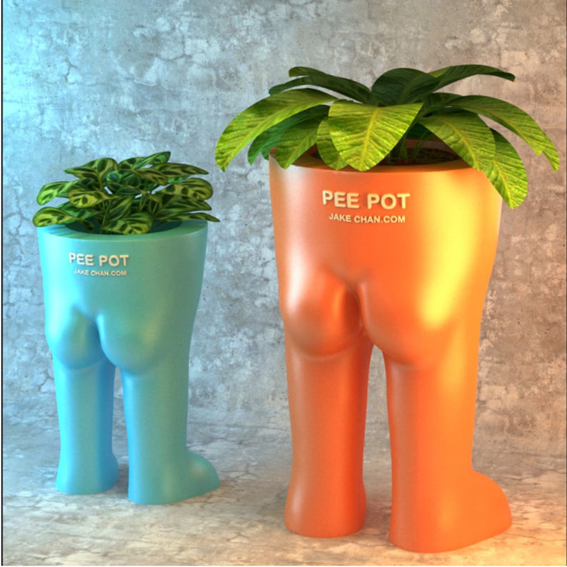 Piss Pot Planter | Funny Gag Garden Gift | Succulents and Flowers ...