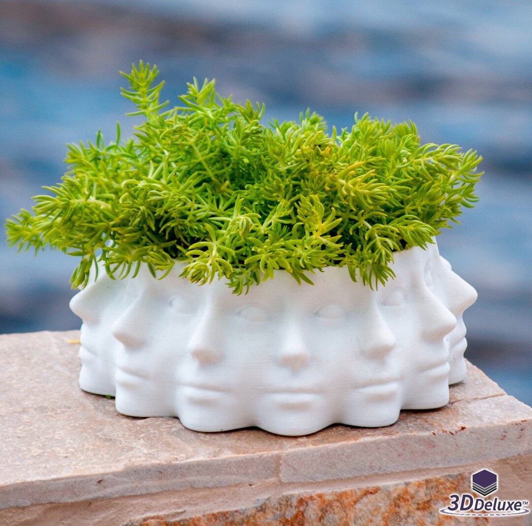 3D Printed Polyface Planter Home Decor Head Planter Face Plant Pot ...