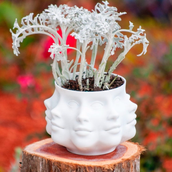 Multi Face Planter - Etsy