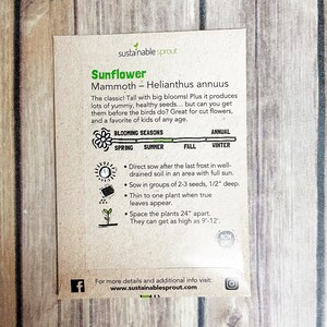 TEACHER Appreciation Little Box of Sunshine Sunflower Care Package ...