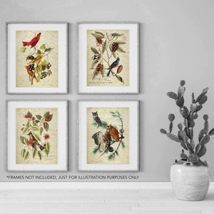 Set of 4 Vintage Victorian Style Birds Owls Art Prints Beige Vintage ...