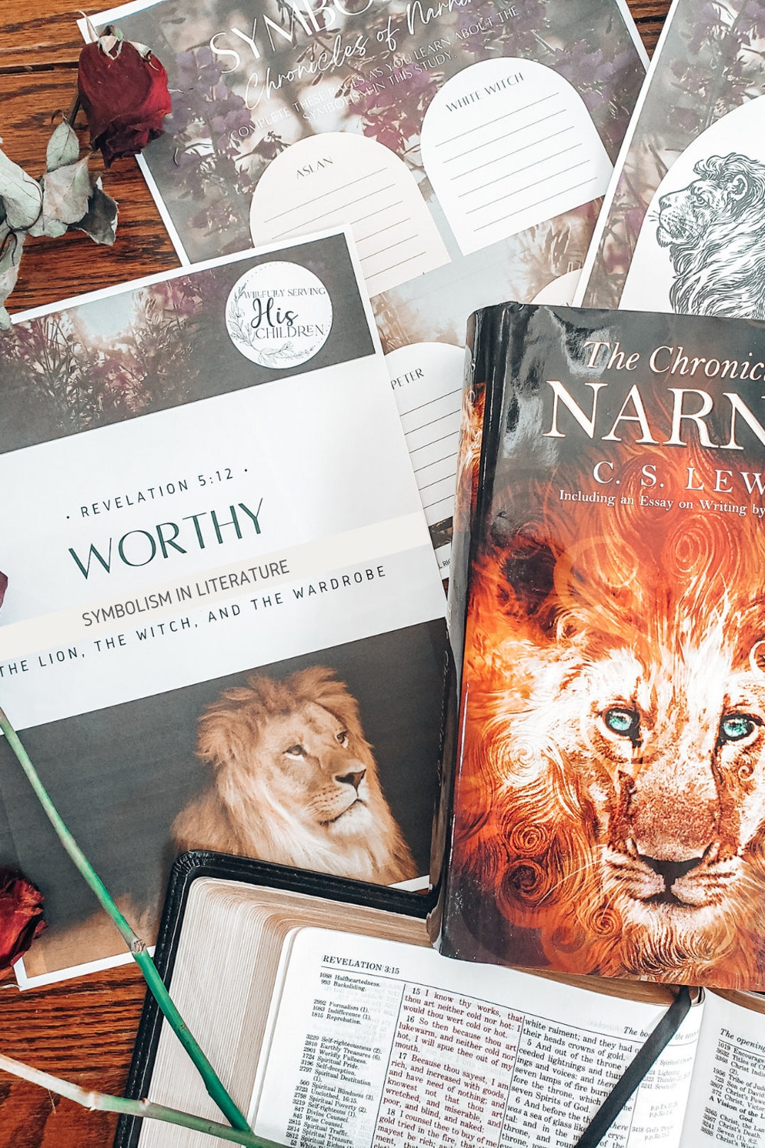 KJV Chronicles of Narnia Study / Symbolism is Literature / - Etsy