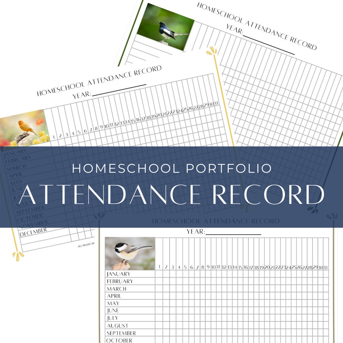Homeschool Portfolio Printables / Homeschool Portfolio - Etsy