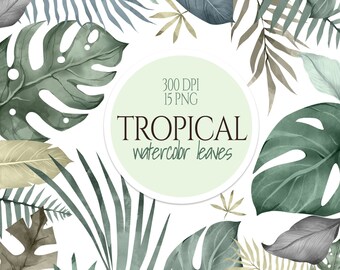 Tropical Leaves Clipart Watercolor Monstera Palm Leaf | Etsy Canada